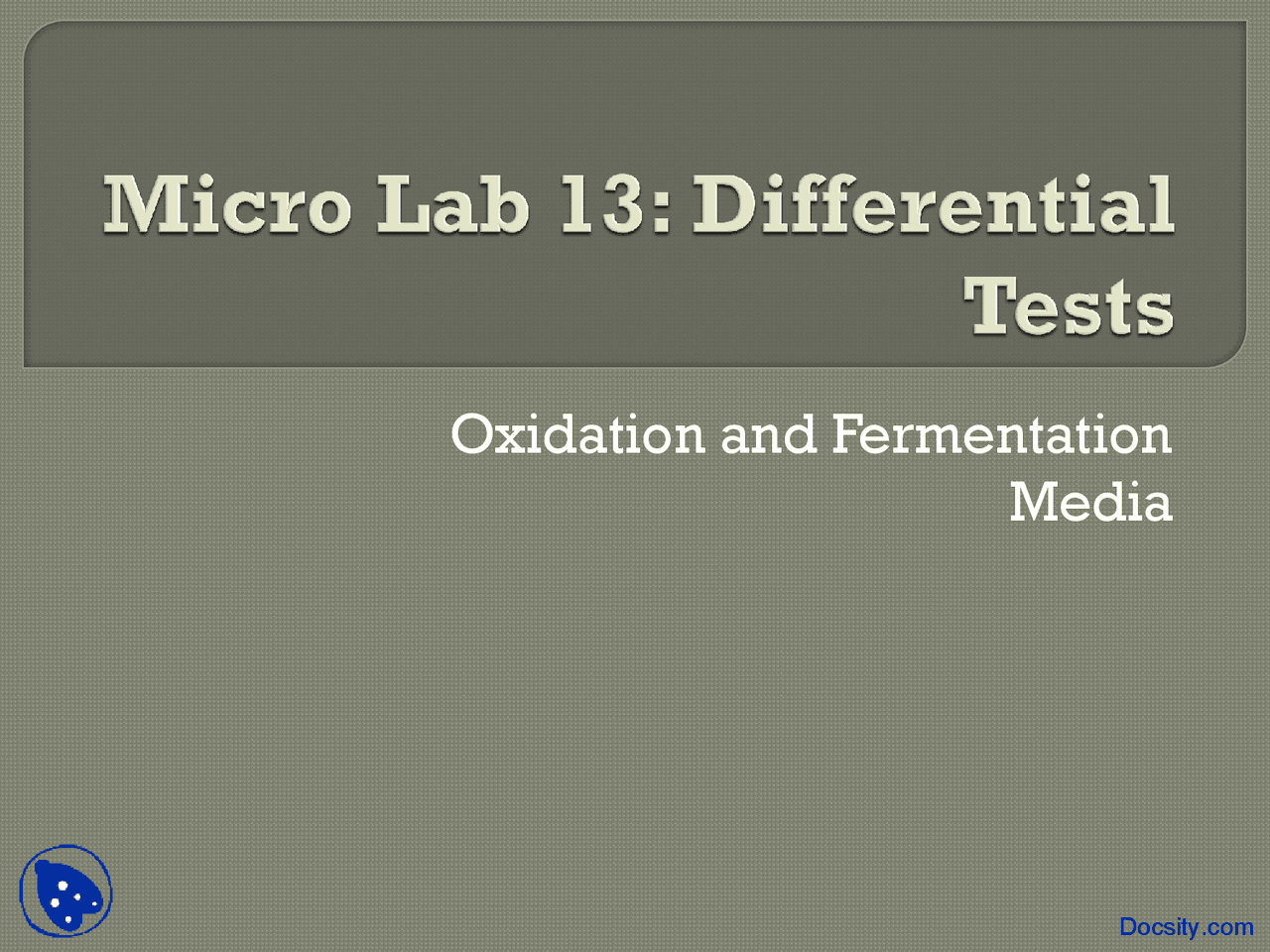 Differential Tests - Biology - Lecture Slides | Slides Biology | Docsity