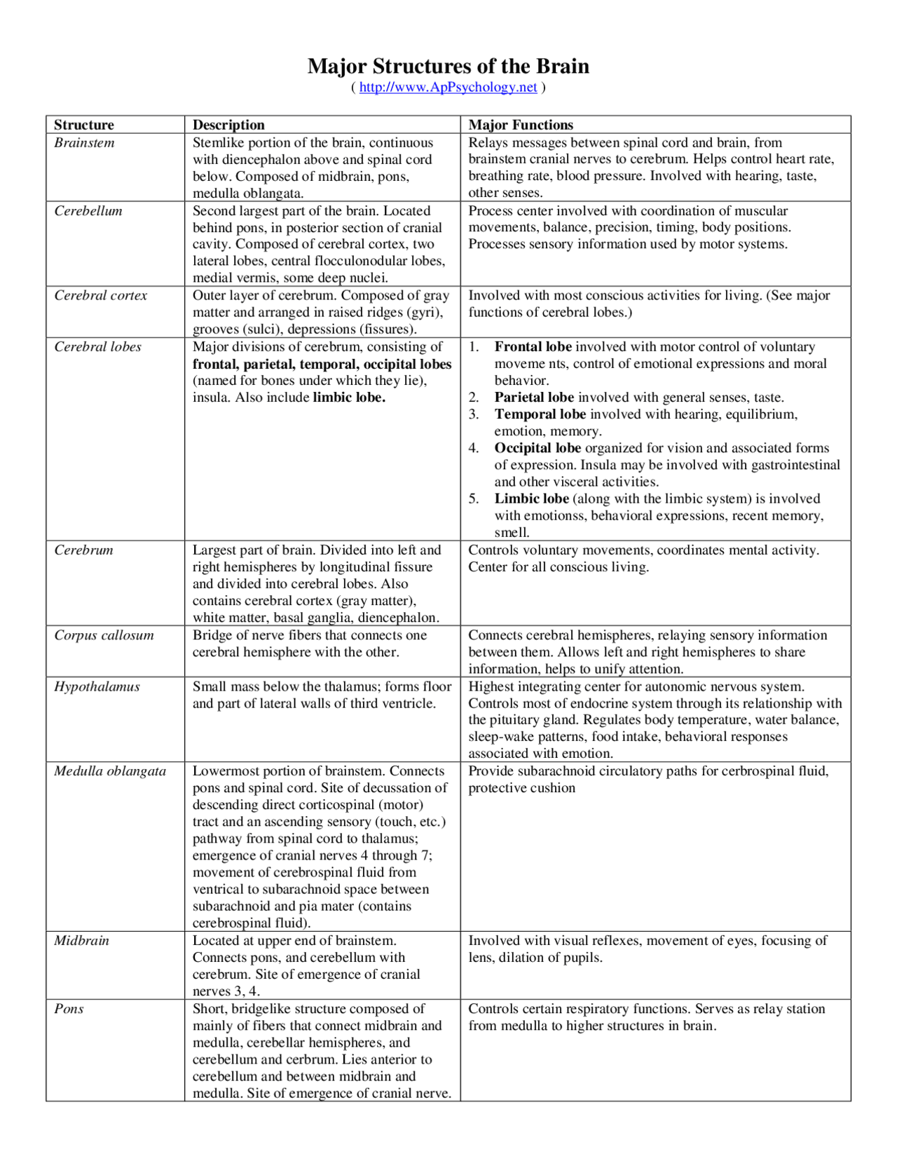 Structures of the Brain - Introduction to Psychology - Handouts ...