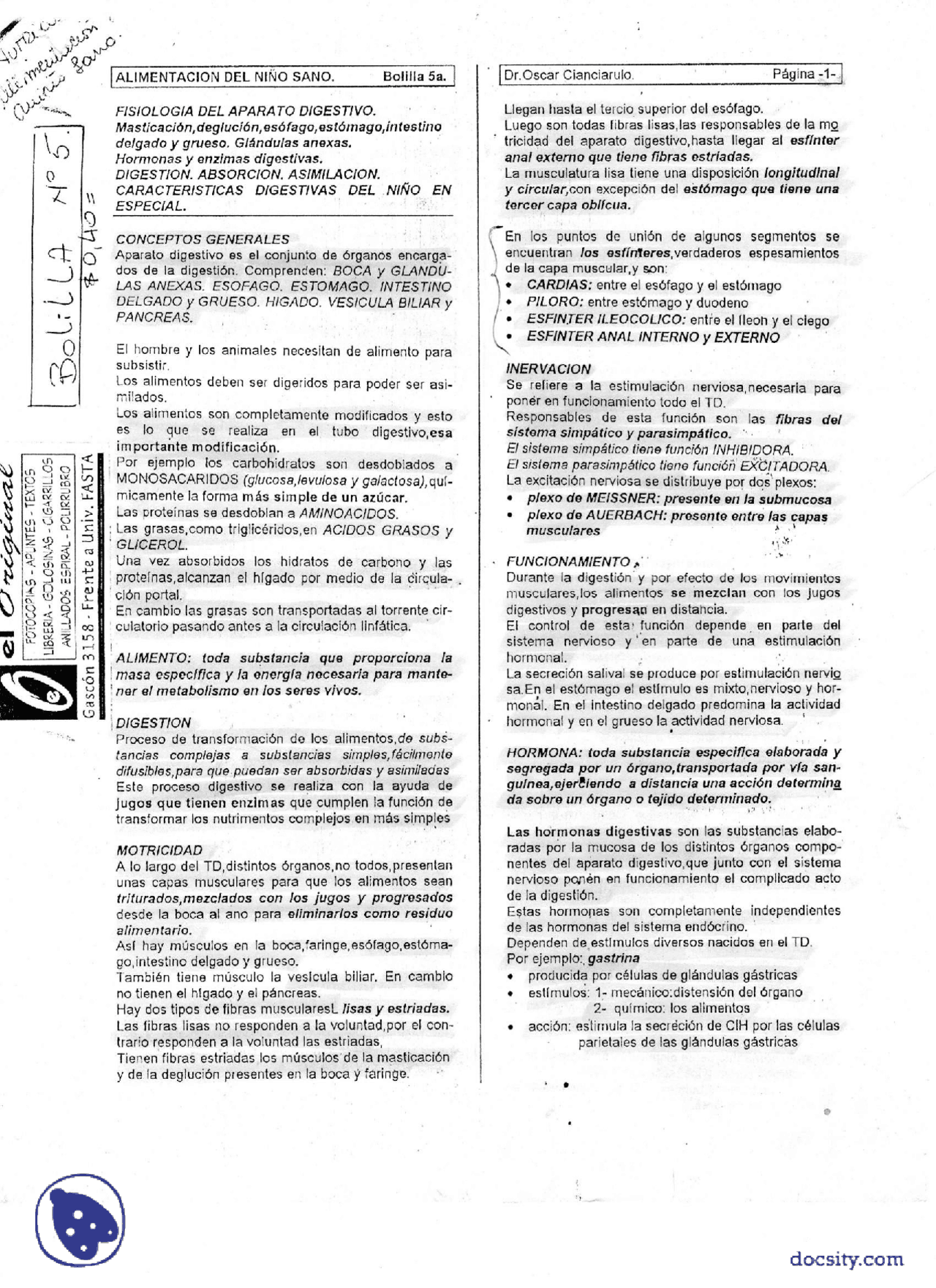 Aparato Digestivo Niño Apuntes Nutrición Y Alimentación Docsity