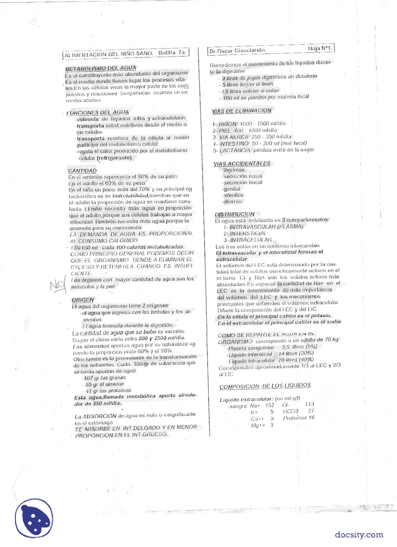 Alimentación Del Niño Apuntes Nutrición Y Alimentación Docsity