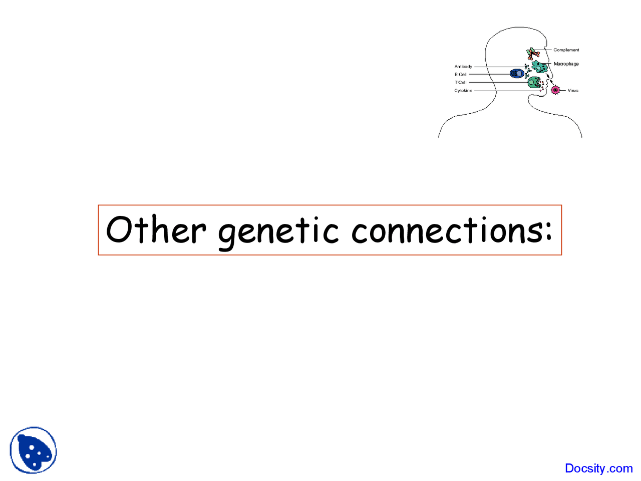 Genetic Connections Introduction To Immurology Lecture Slides Docsity