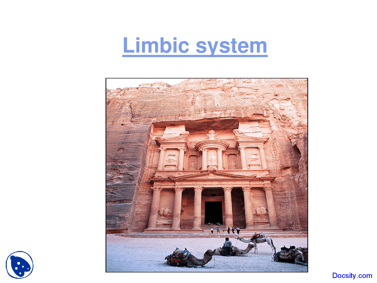 Limbic System Introduction To Neurology Lecture Slides Docsity