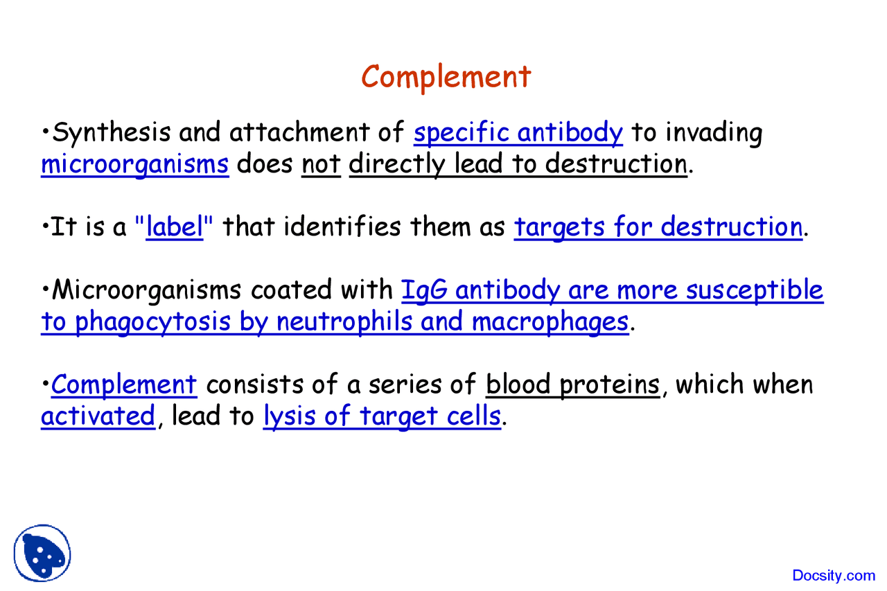 Major Biological Activities Of Complement Introduction To Immurology