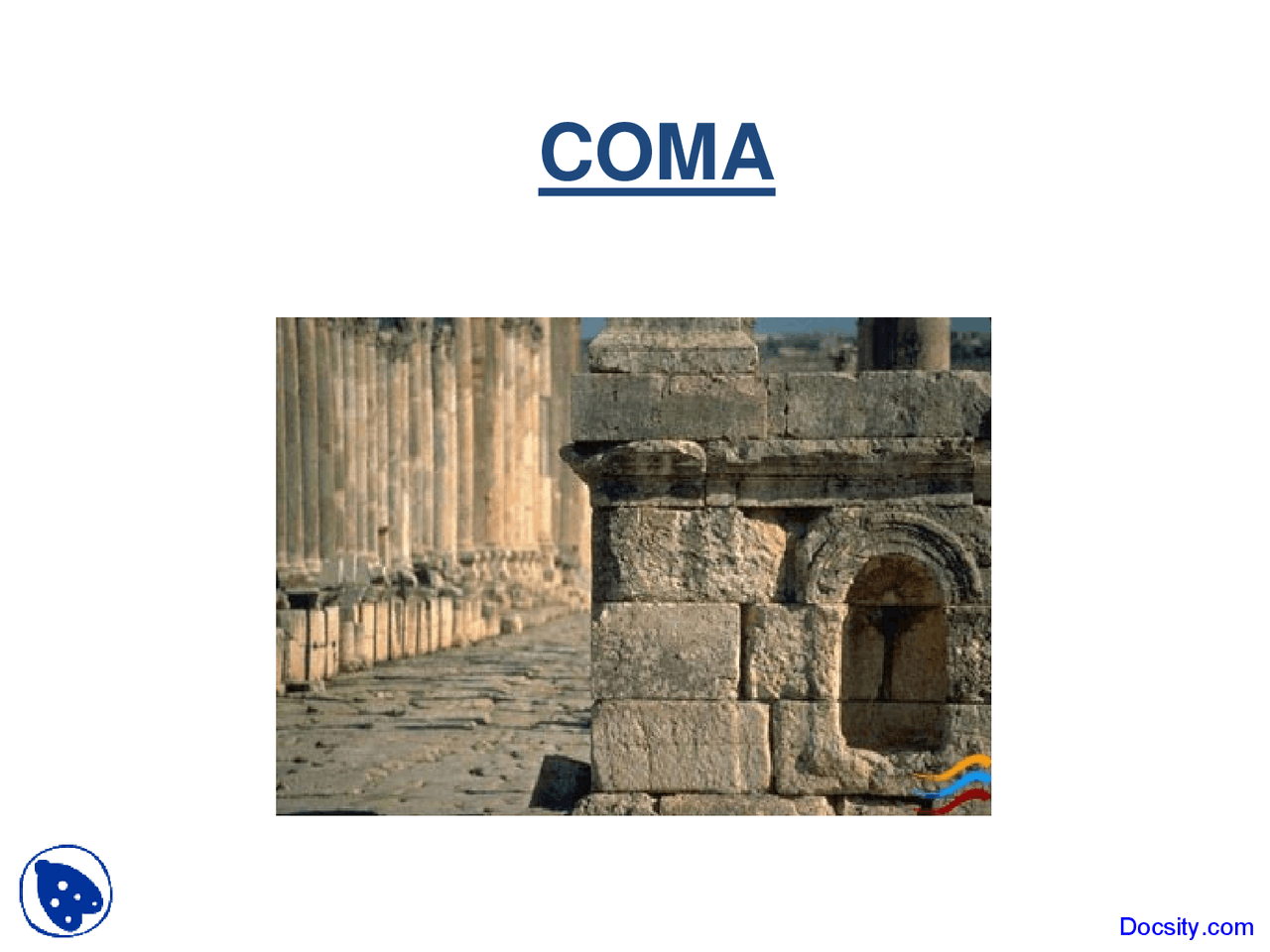 Introduction to Coma - Introduction to Neurology - Lecture Slides - Docsity