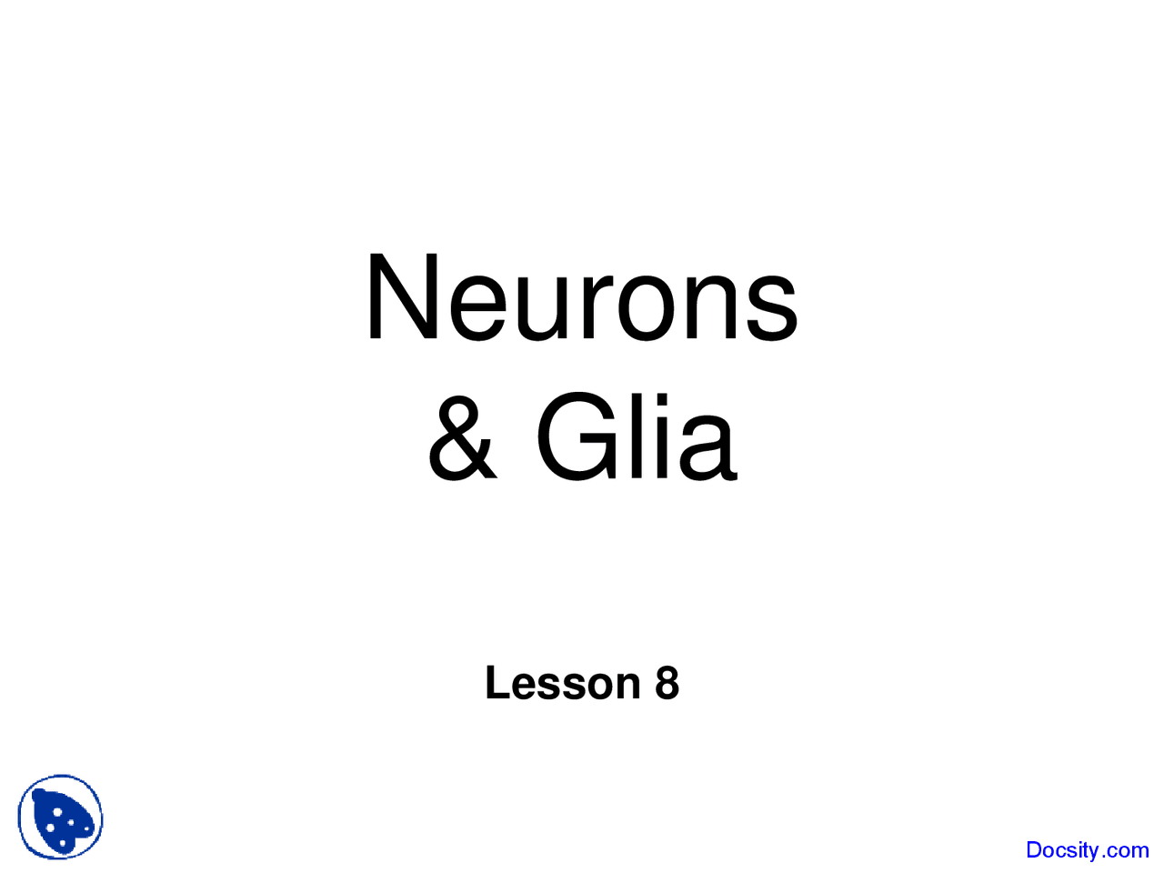 Neurons and Glia: The Building Blocks of the Nervous System | Slides ...