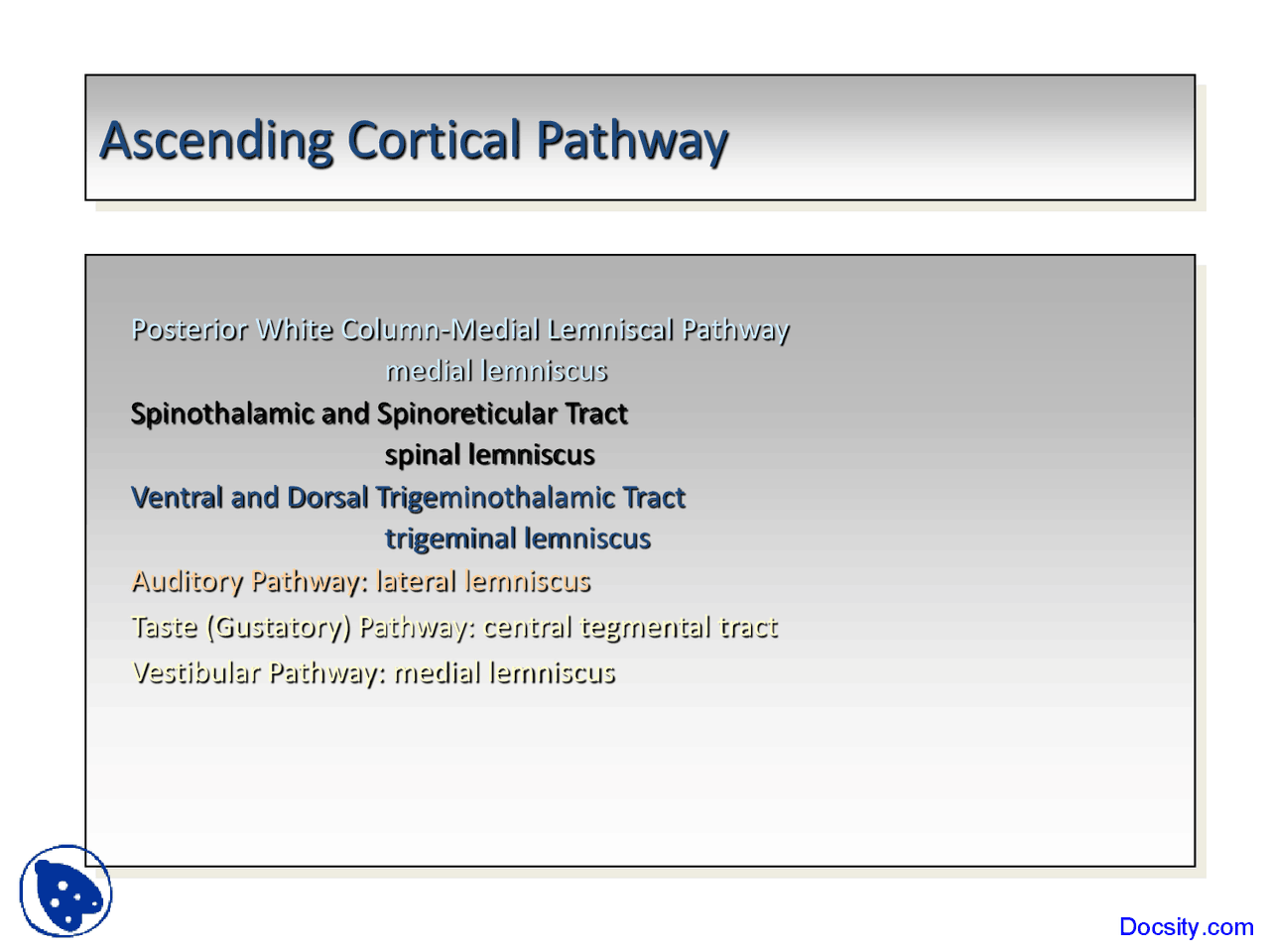 Ascending Cortical Pathway Introduction To Neurology Lecture Slides
