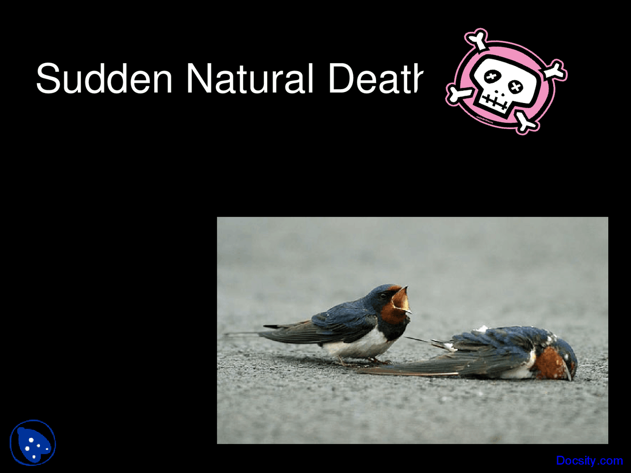 Sudden Natural Death - Forensic Experiments - Lecture Slides | Slides ...