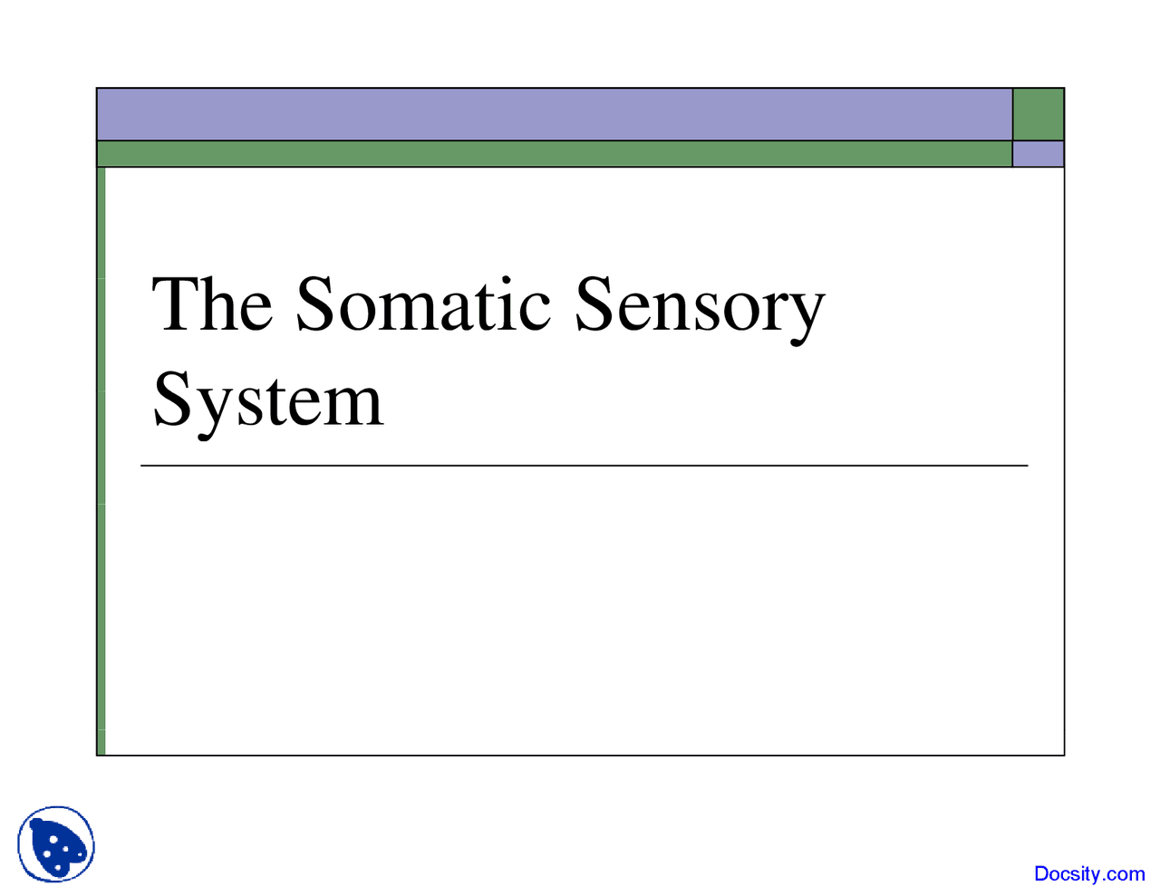 Somatic Sensory System - Mind, Brain and Behaviour - Lecture Slides ...