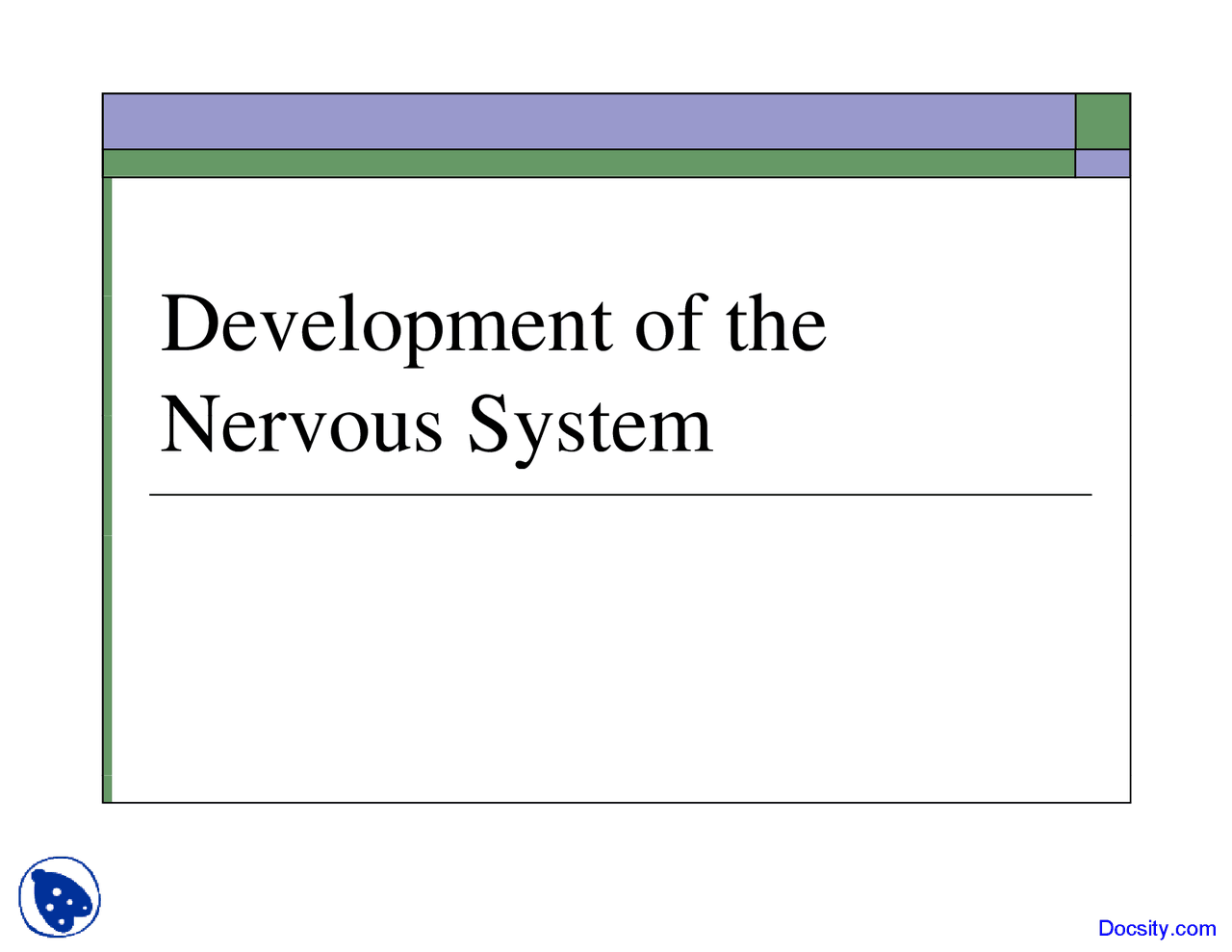 Development Of The Nervous System Mind Brain And Behaviour Lecture