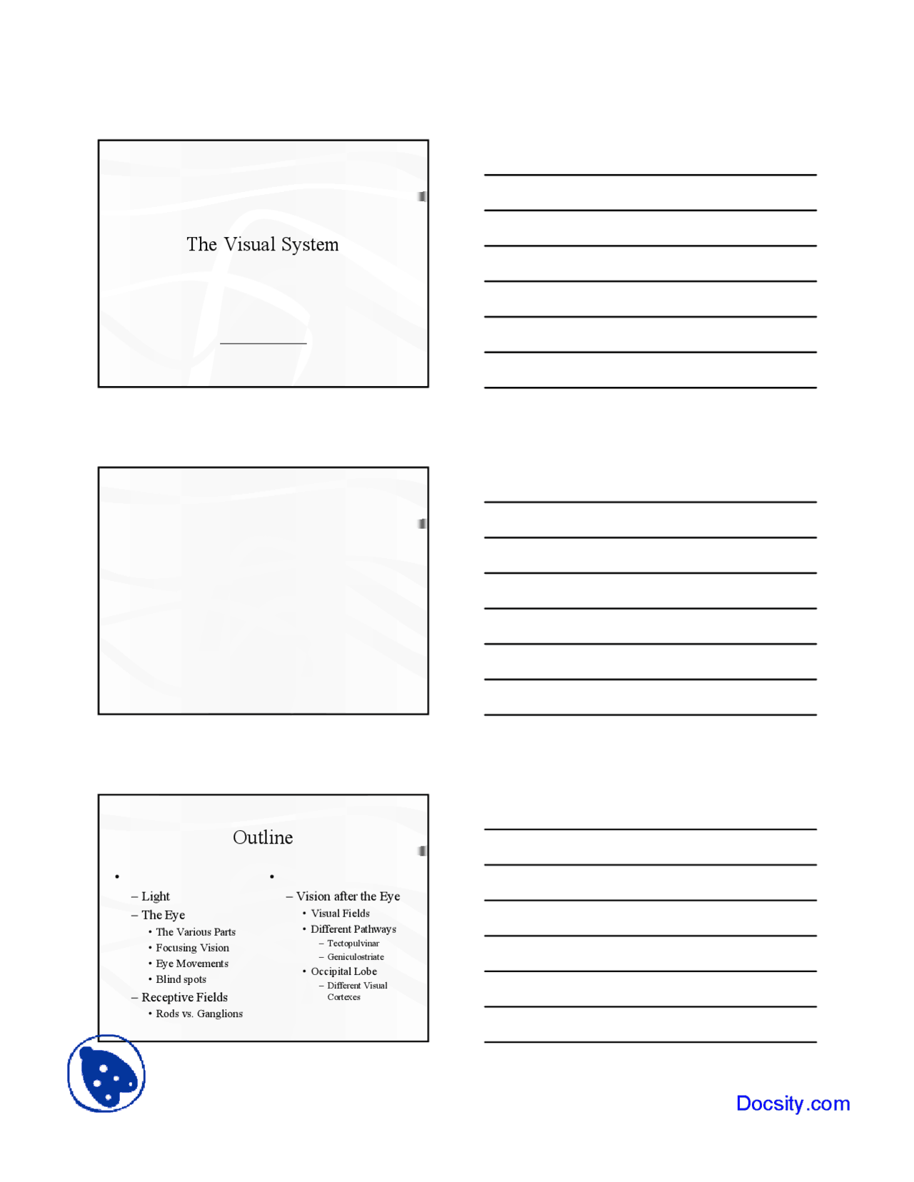 Visual System - Introduction to Sensation and Perception - Lecture ... Visual System - Introduction to Sensation and Perception - Lecture ...