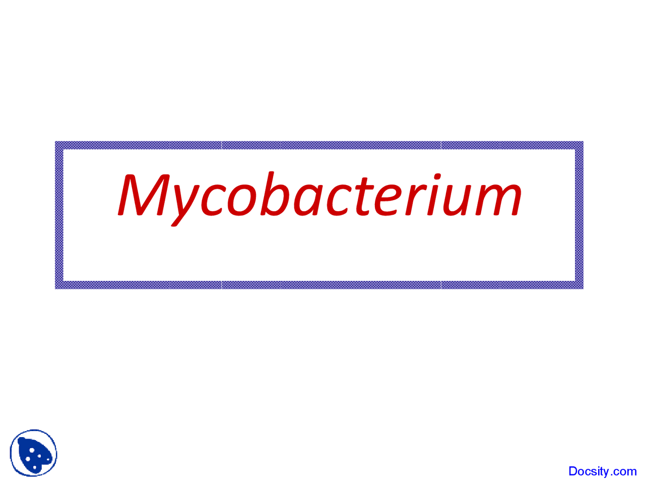 Introduction To Mycobacterium Dermatology Lecture Slides Docsity
