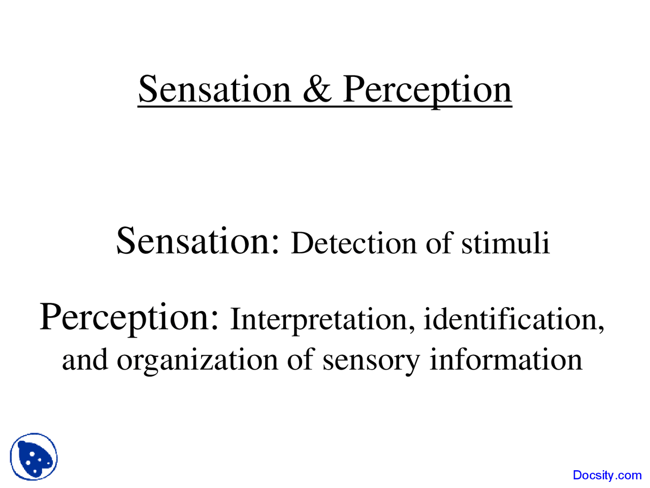 Sensation And Perception General Psychology Lecture Slides Docsity