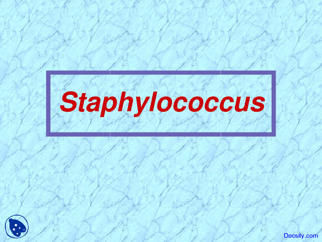 Staphylococcus Dermatology Lecture Slides Slides Dermatology