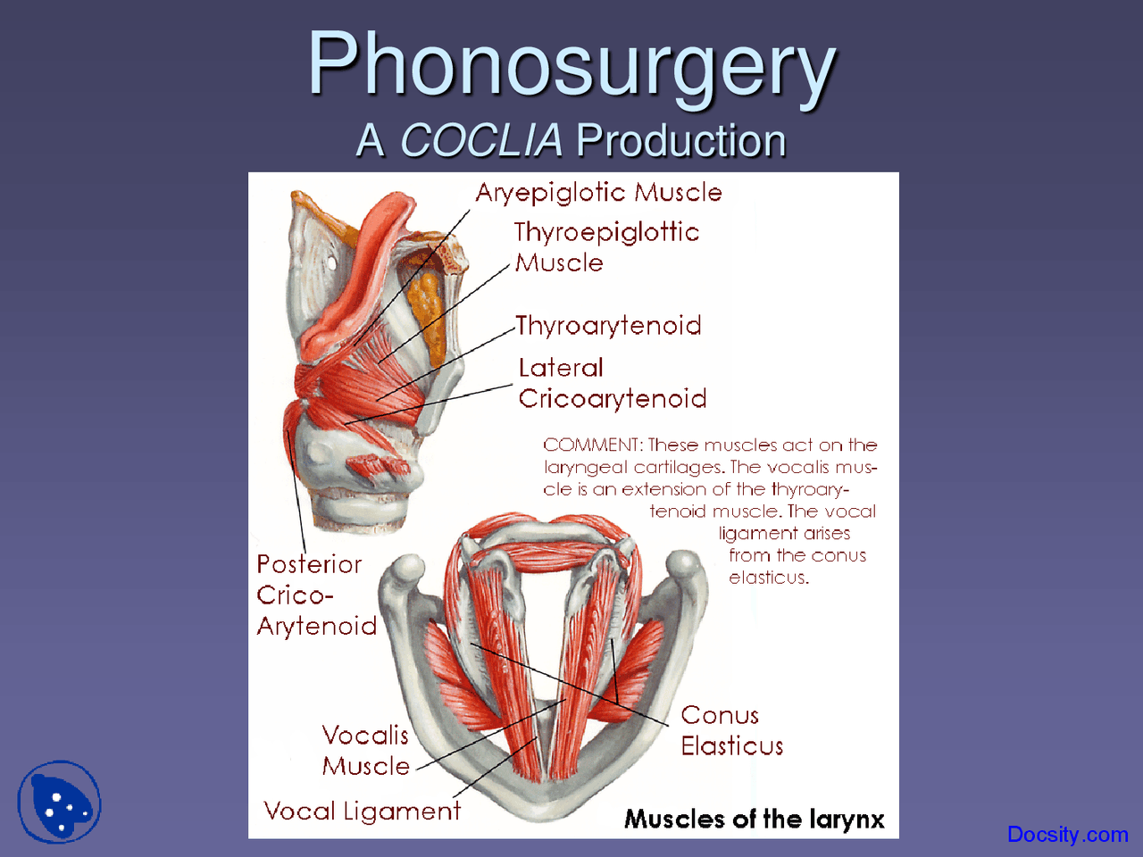Introduction To Phonosurgery Otolaryngology Lecture Slides Docsity