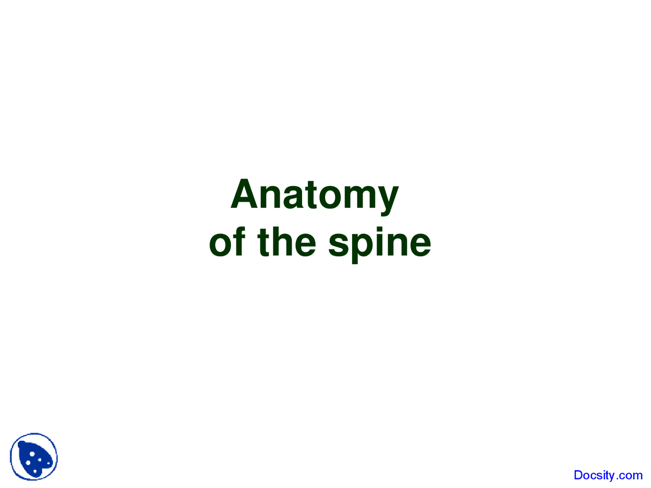 Anatomy Of Spine Introduction To Orthopedics Lecture Slides Docsity