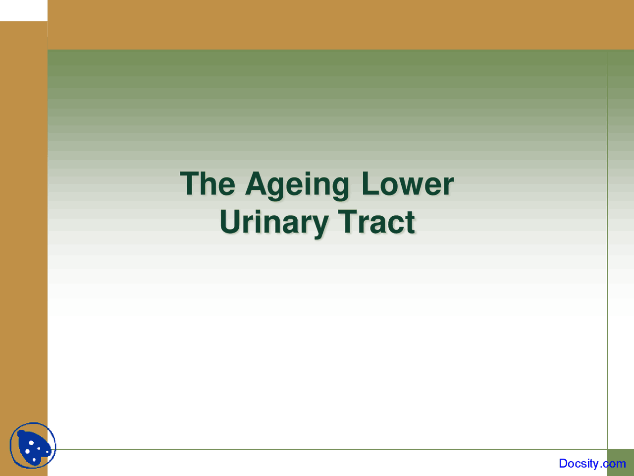Ageing Lower Urinary Tract Introduction To Geriatrics Lecture