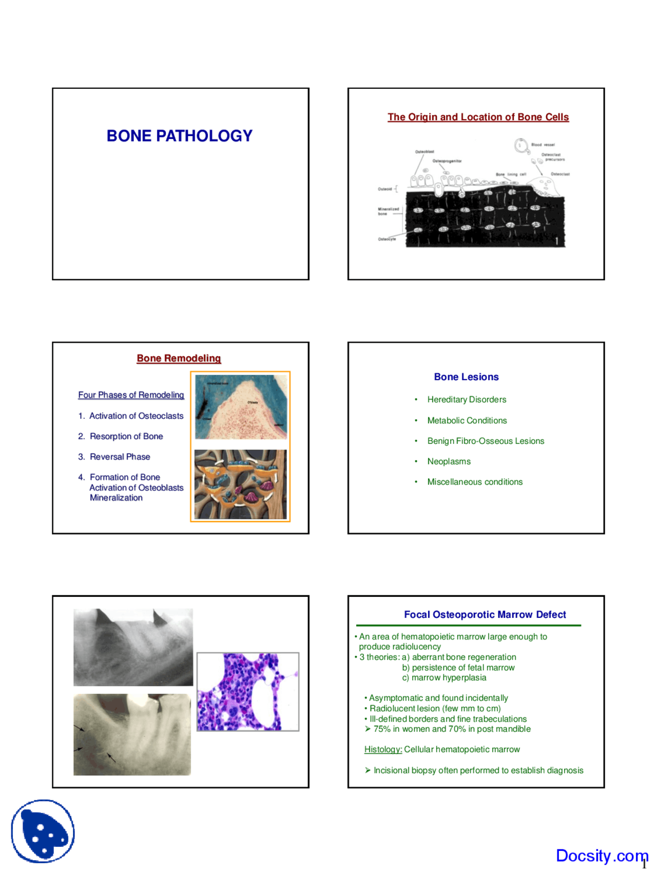 Bone Pathology - Oral and Maxillofacial Pathology - Lecture Slides ...
