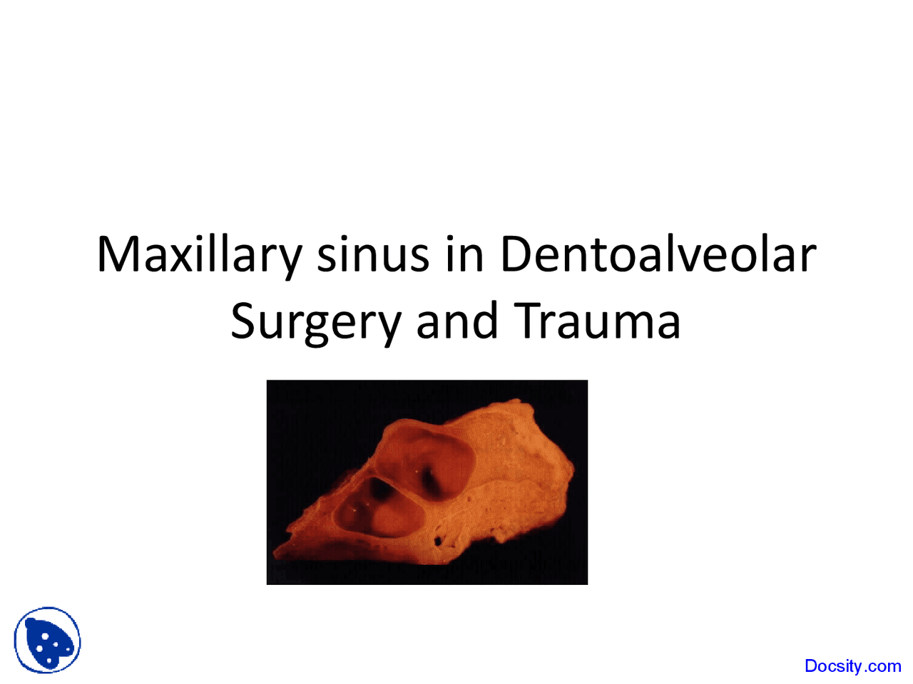 Maxillary Sinus in Dentoalveolar Surgery - Oral and Maxillofacial ...