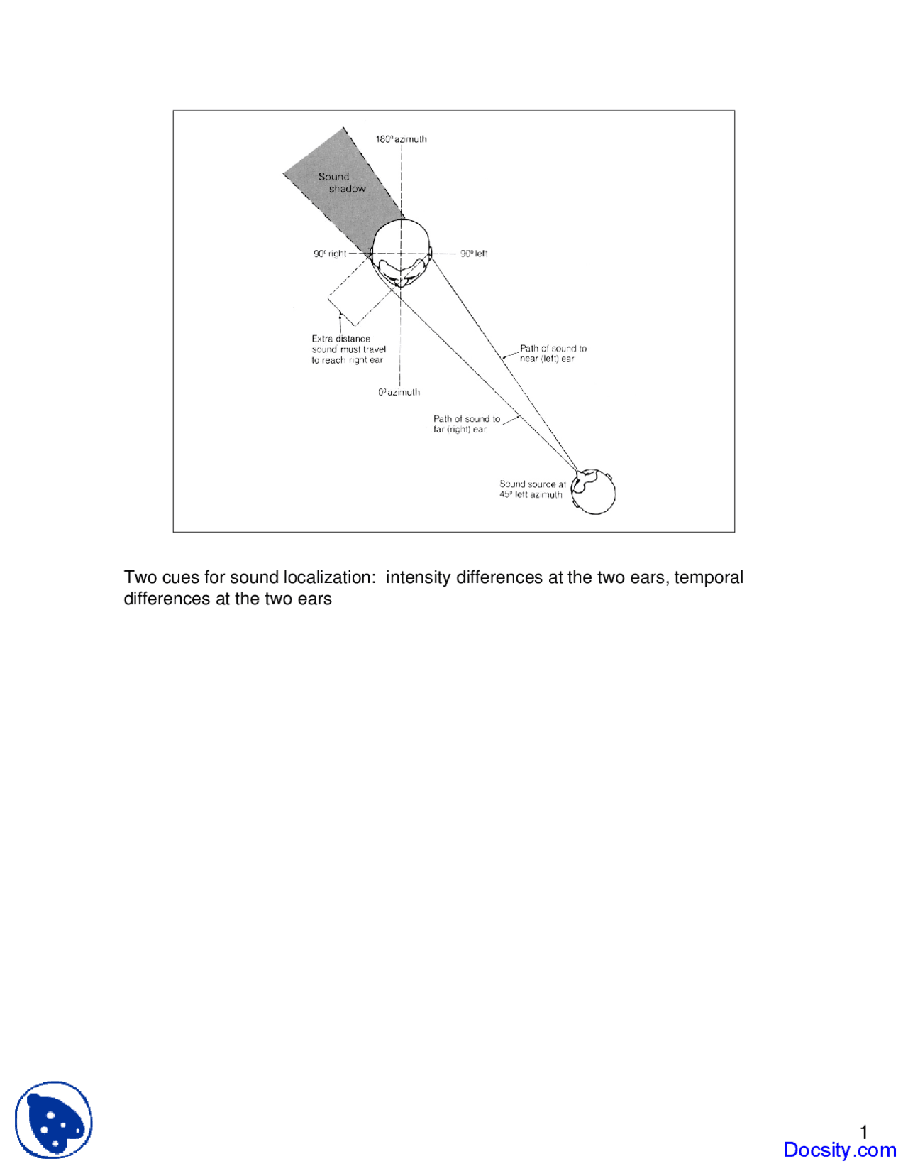 Sound Localization Seeing And Acting In A Virtual World Lecture