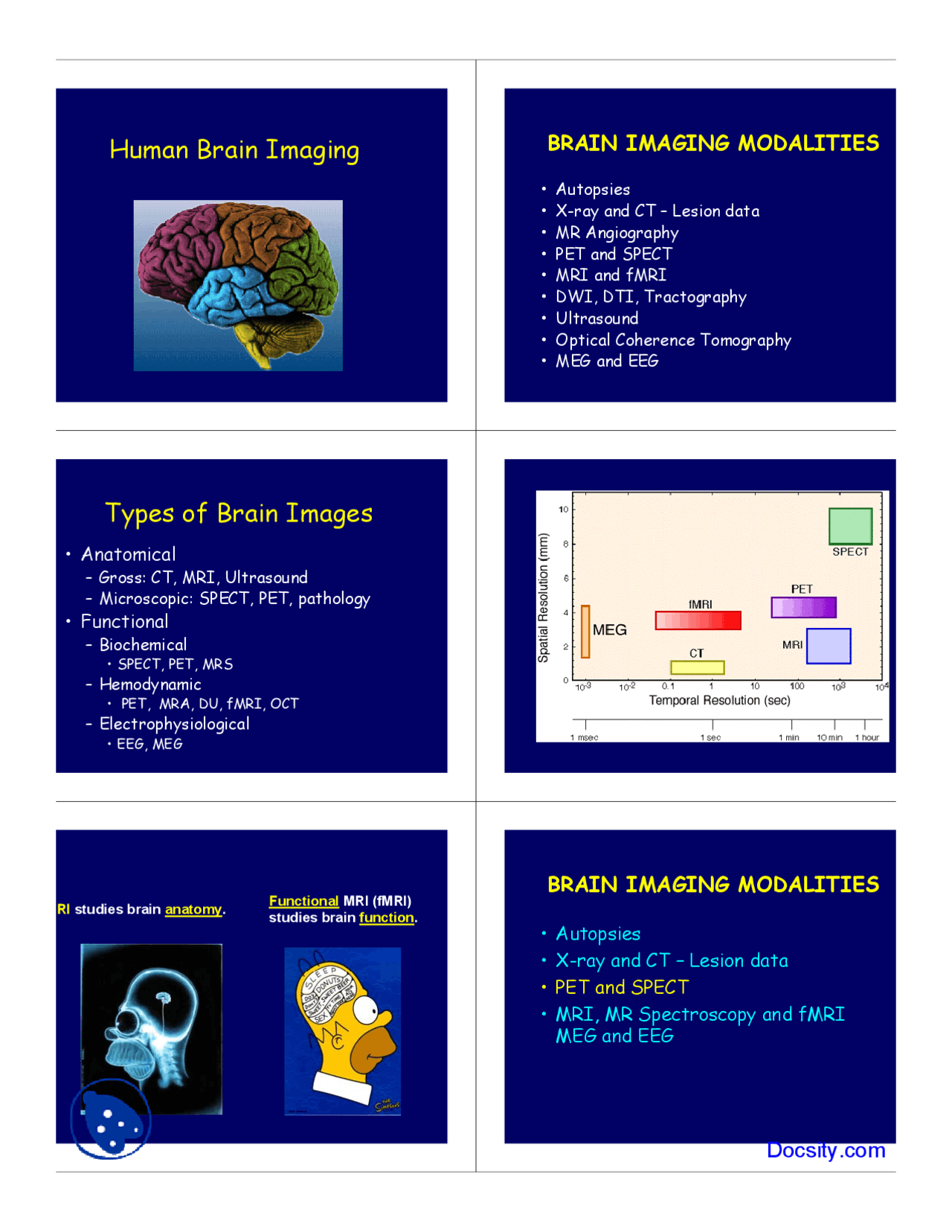 Human Brain Imaging Radiology Lecture Slides Docsity