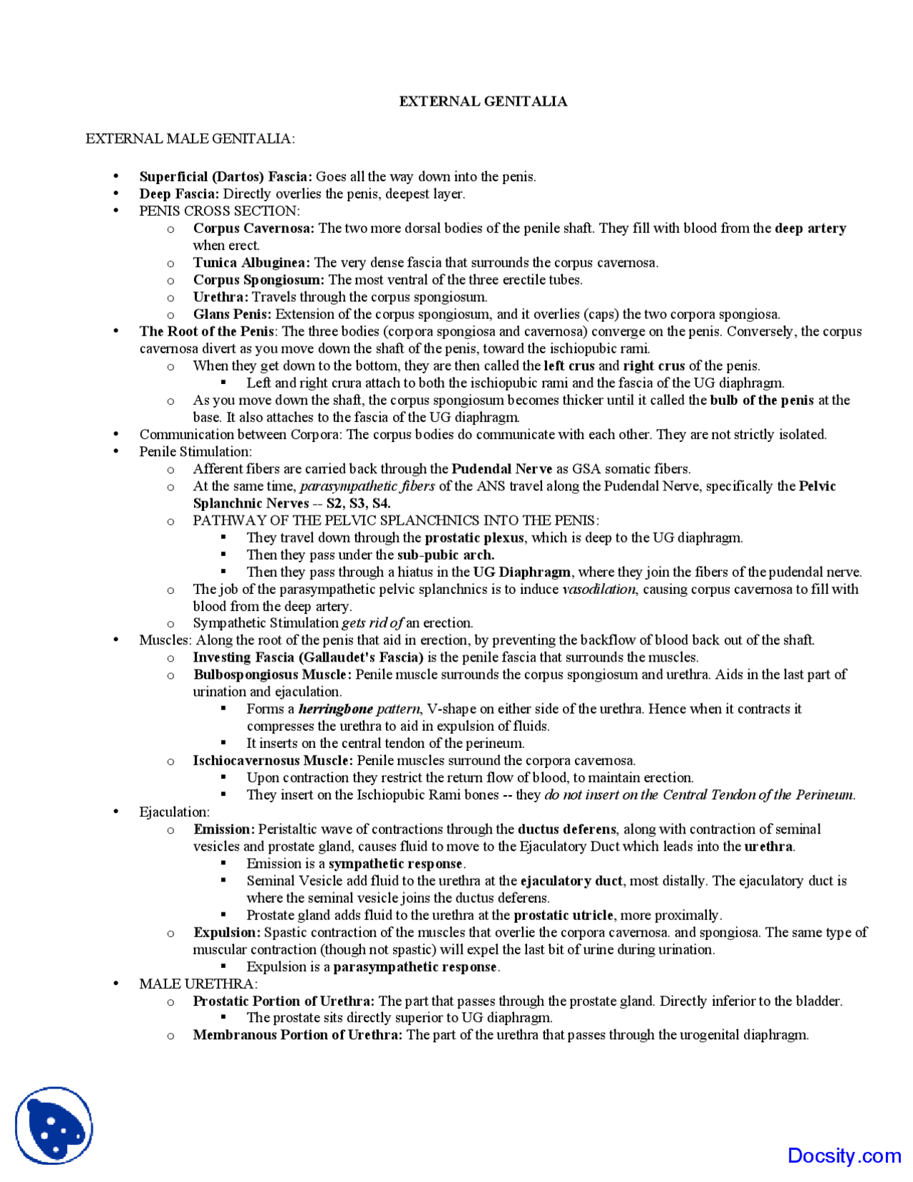 External Genitalia Medical Science Lecture Notes Docsity