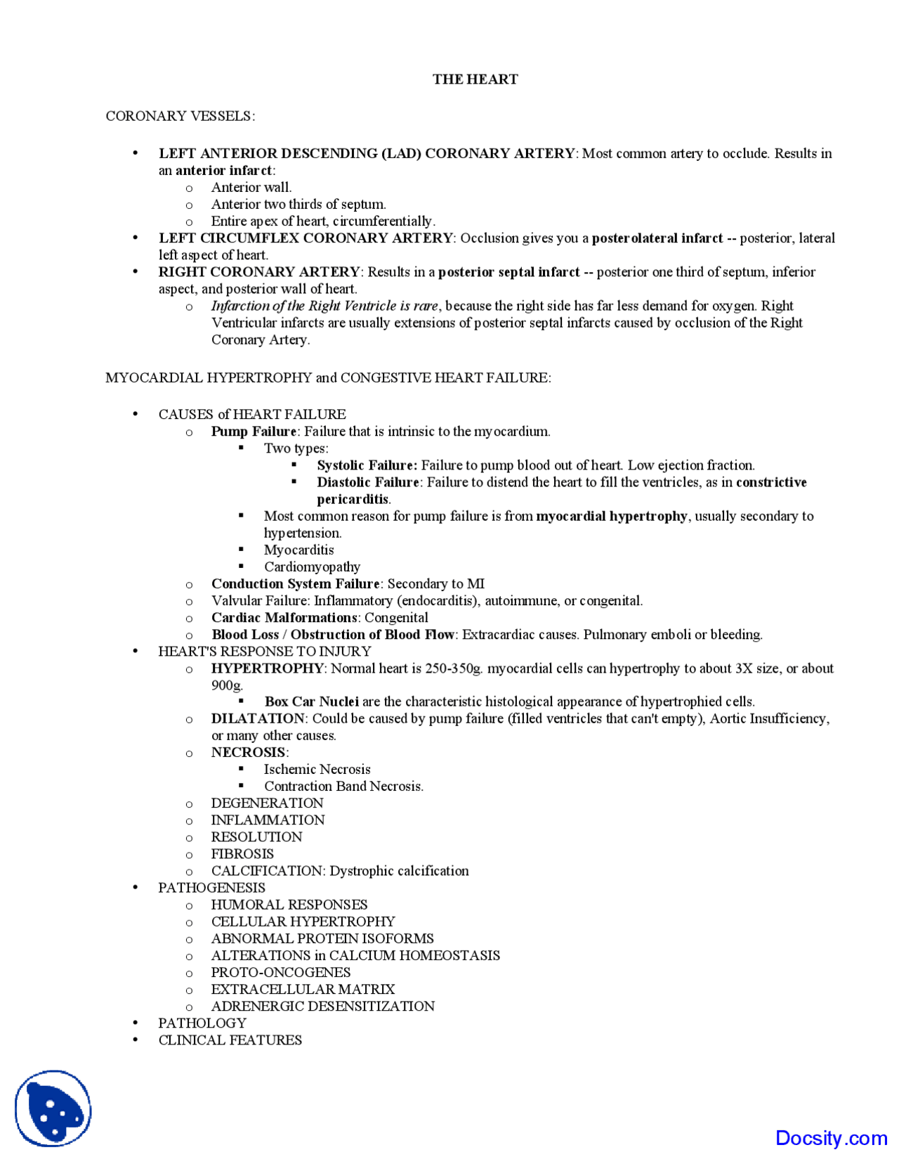 Heart - Medical Science - Lecture Notes - Docsity