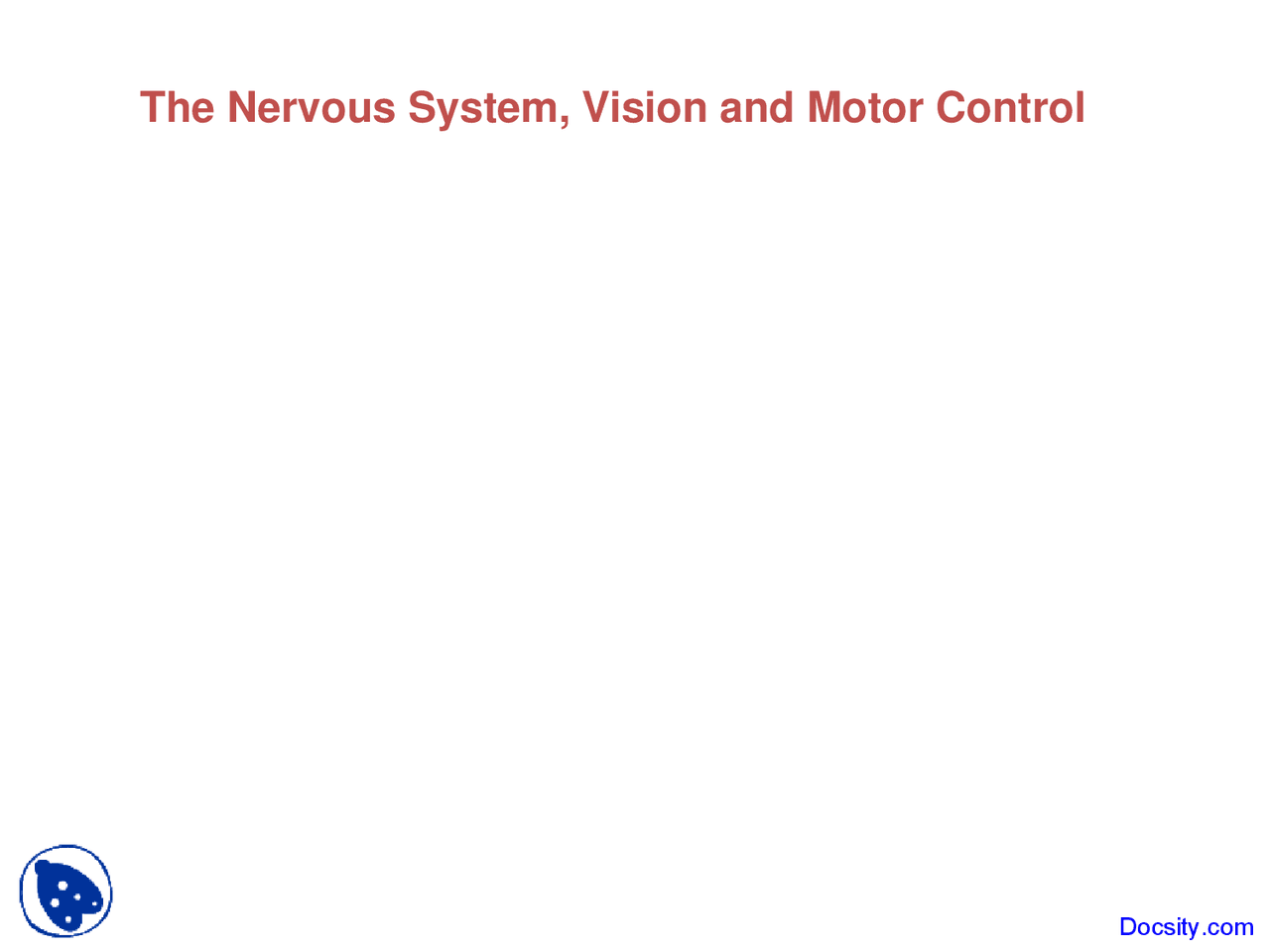 Nervous System, Vision and Motor Control - Seeing and Acting in a ...