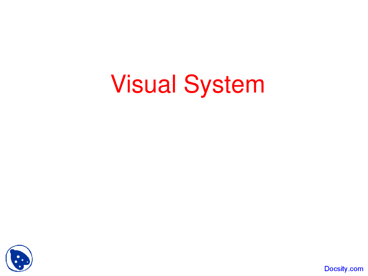 Visual System Perception Lecture Slides Docsity