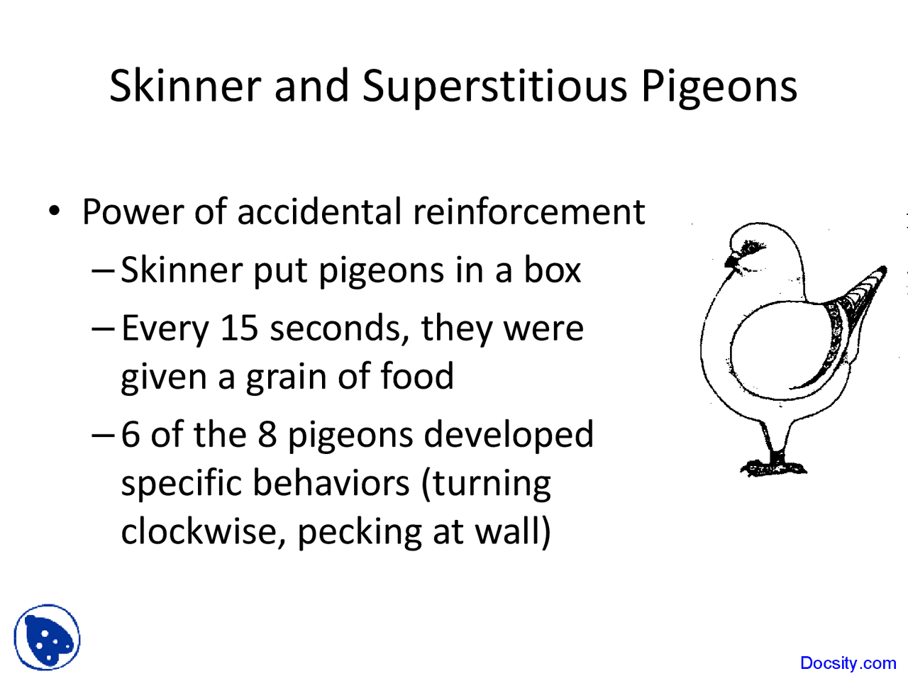 Skinner and Superstitious Pigeons - Fundamentals of Psychology ...