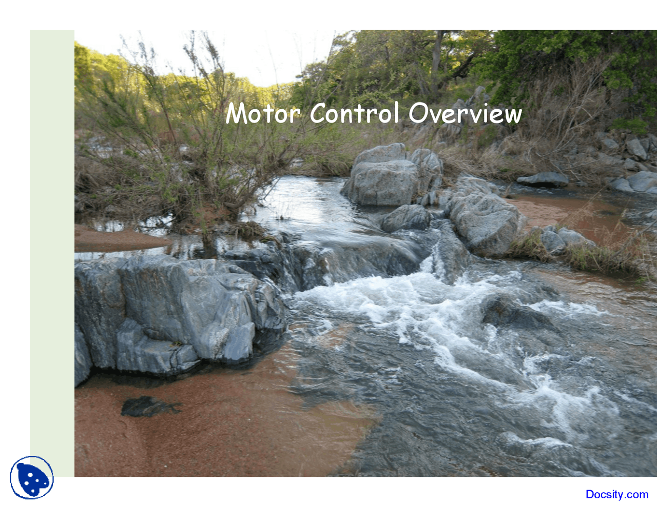 Motor Control - Introduction to Sensory Motor Systems - Lecture Slides ...