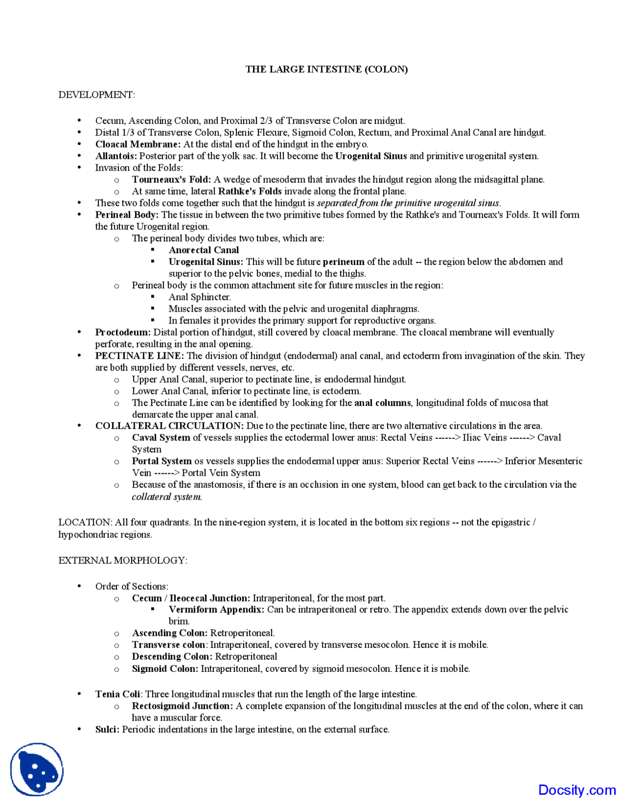 Large Intestine Medical Science Lecture Notes Docsity