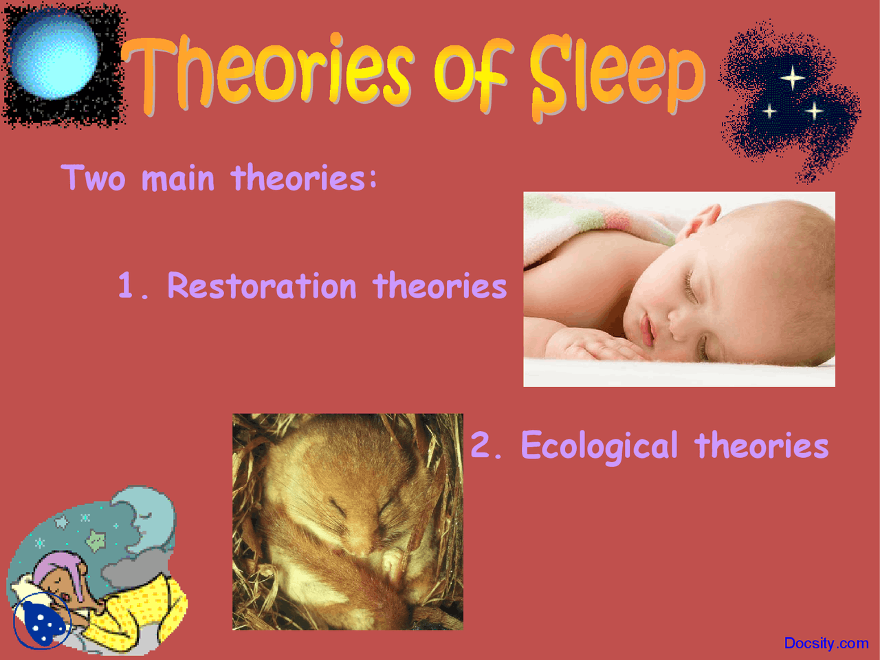 Theories of Sleep - Sleep Disorder - Lecture Slides - Docsity