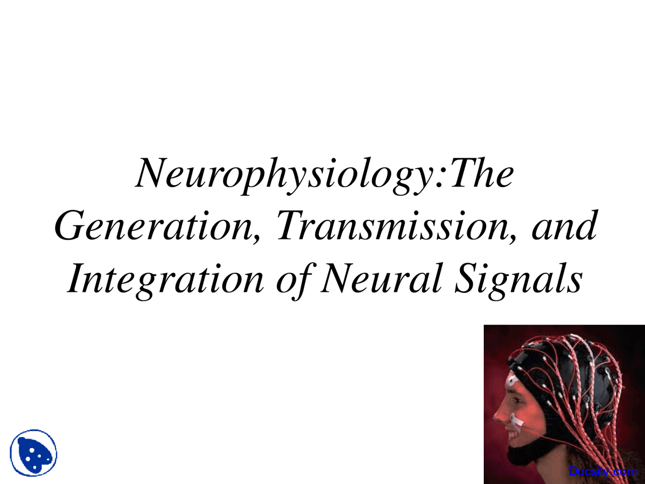 Generation Transmission And Integration Of Neural Signals