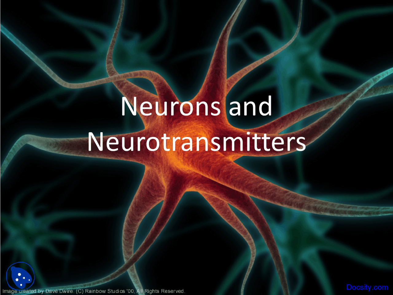 Neurons And Neurotransmitters Fundamentals Of Psychology Lecture