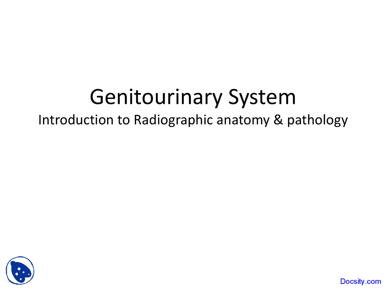 Genitourinary System - Radiology - Lecture Slides - Docsity