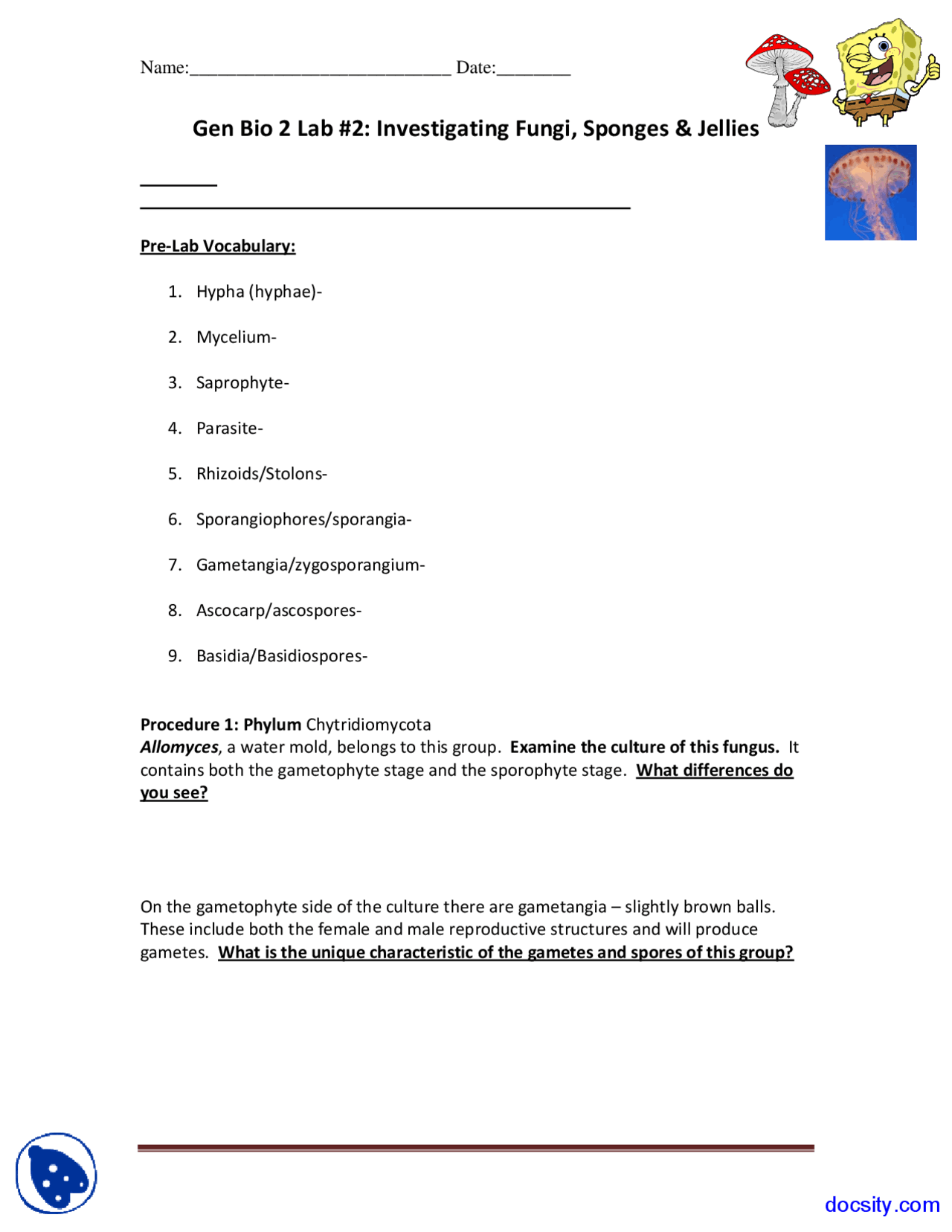 Investigating Fungi - Biology - Lab Manual | Study notes Biology | Docsity