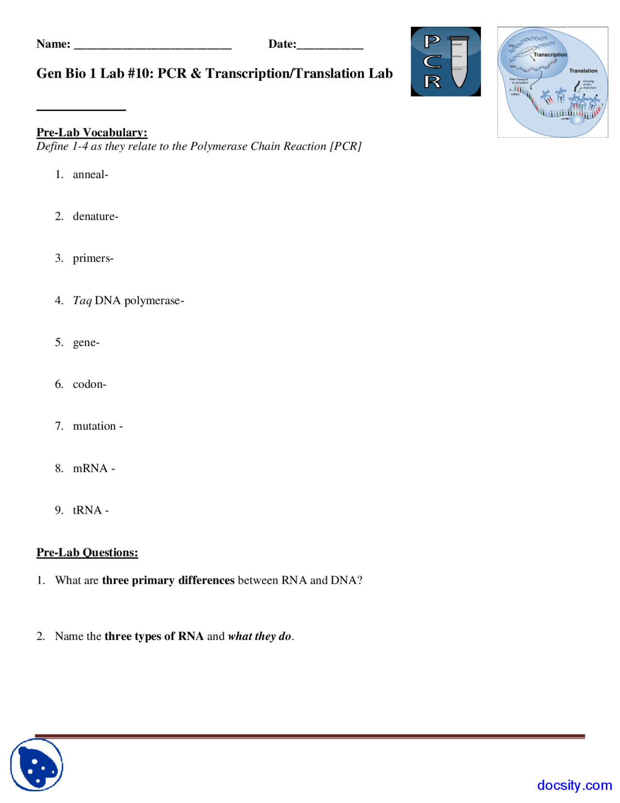 Polymerase Chain Reaction - Biology - Lab Manual - Docsity
