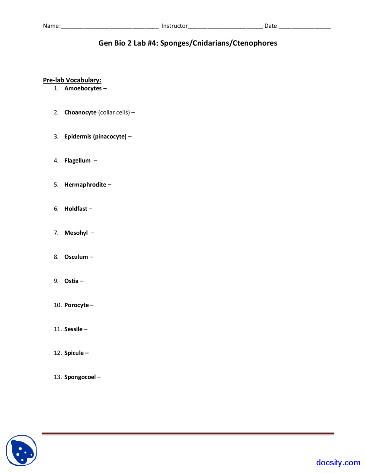 Sponges Biology Lab Manual Slides Biology Docsity
