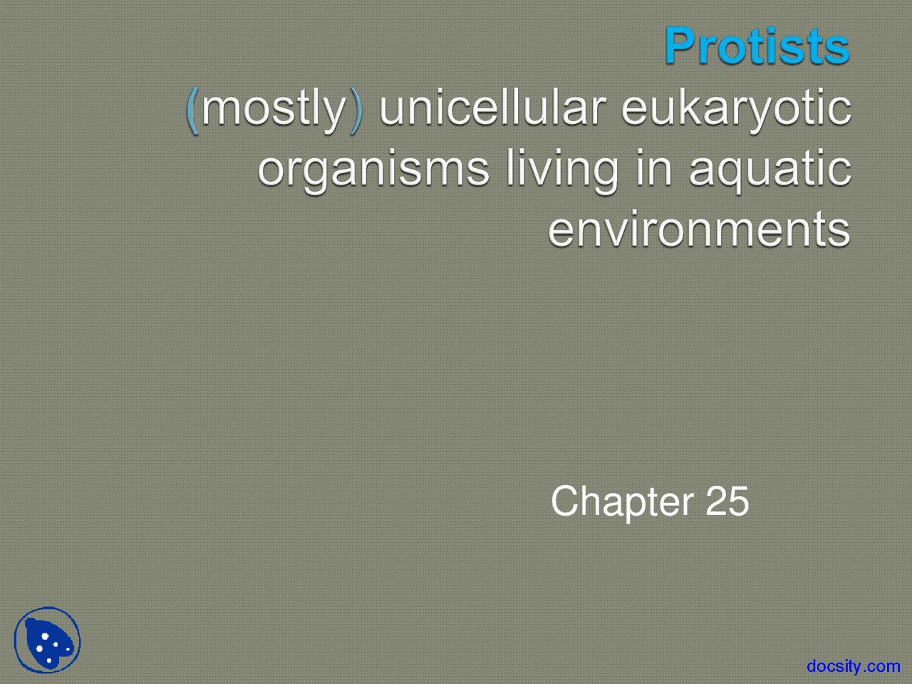 Protists Biology Lecture Slides Docsity