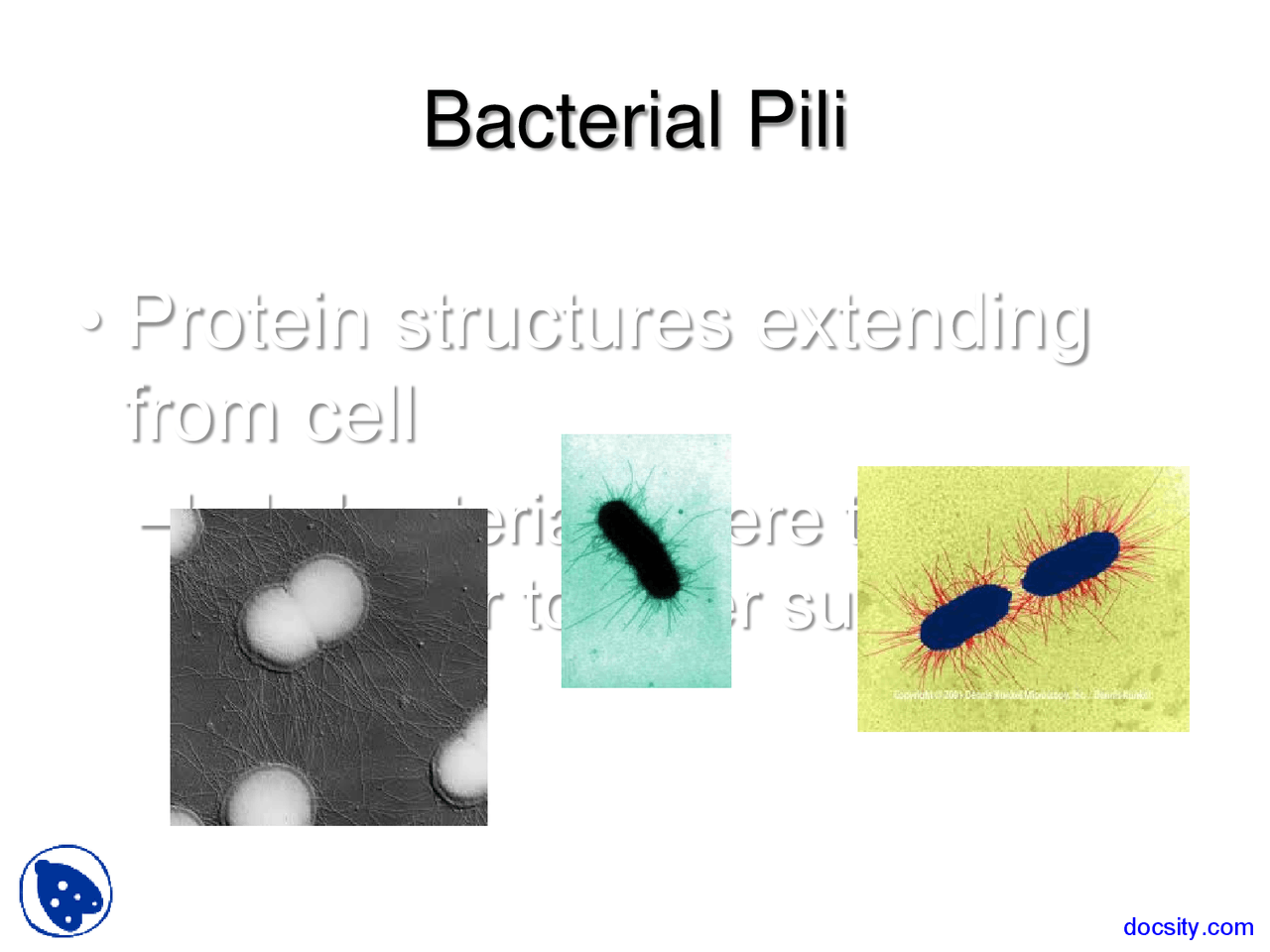 Viral Diseases Biology Lecture Slides Docsity