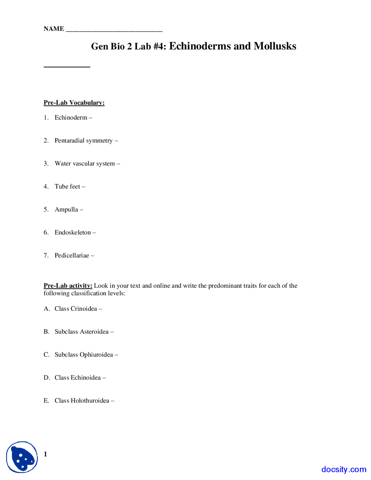 Echinoderms and Mollusks - Biology - Lab Manual | Study notes Biology ...