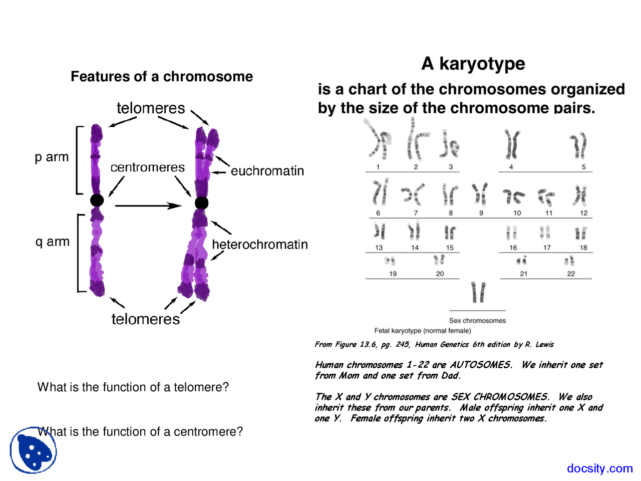Inheritance Introduction To Biochemistry Lecture Slides Docsity