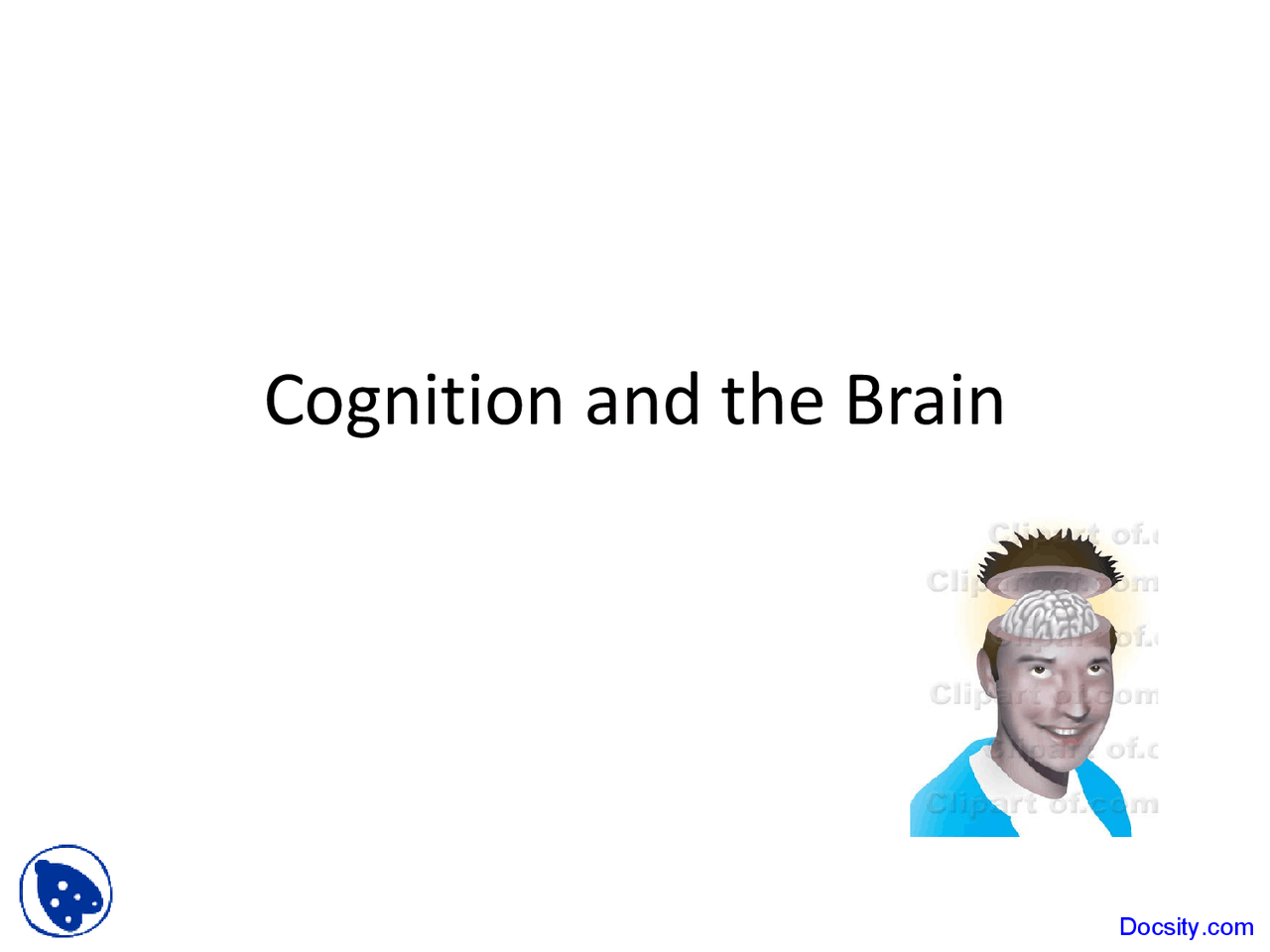 Cognition And The Brain Cognitive Developmental Psychology Lecture