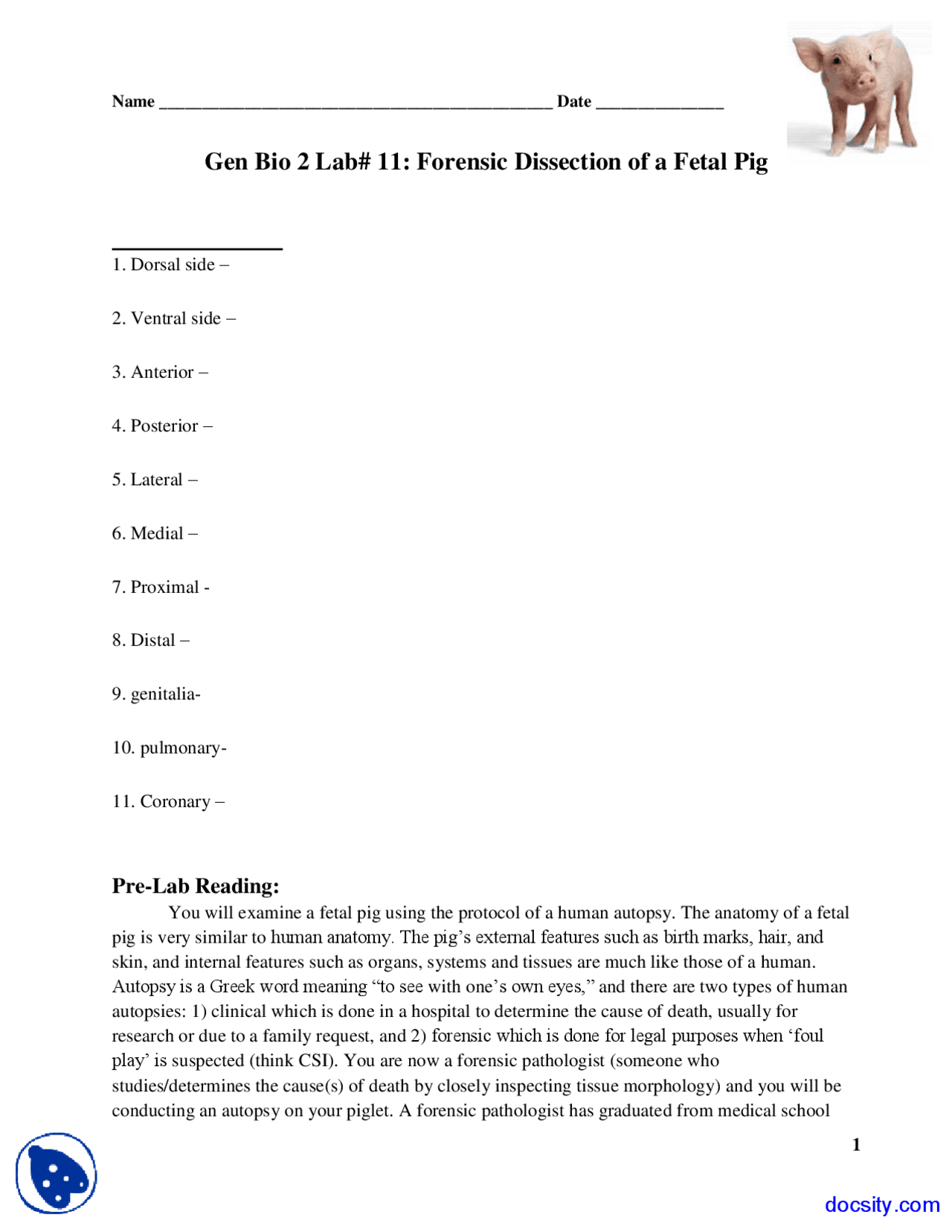 Forensic Dissection of a Fetal Pig - Biology - Lab Manual | Study notes ...