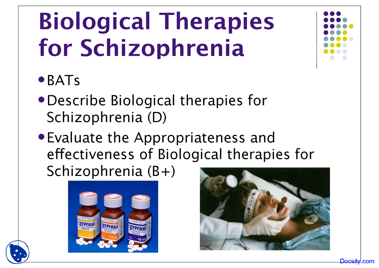 Biological Explanations Of Schizophrenia 2 Docsity
