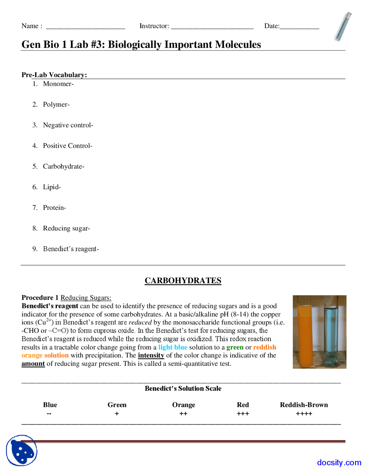 Biologically Important Molecules - Biology - Lab Manual - Docsity