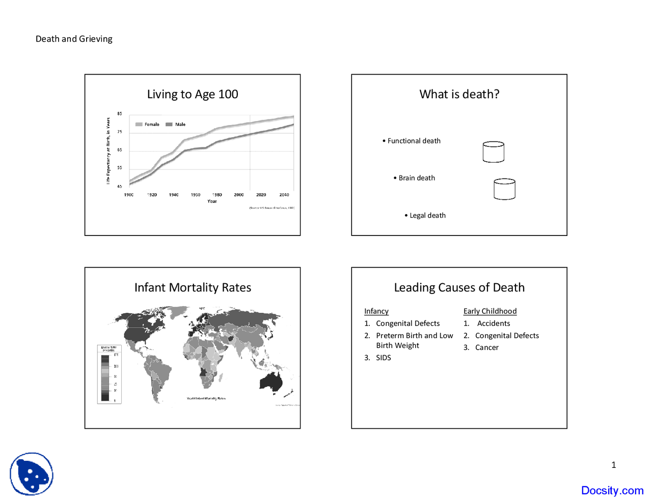 Death and Grieving - Human Development - Lecture Slides - Docsity