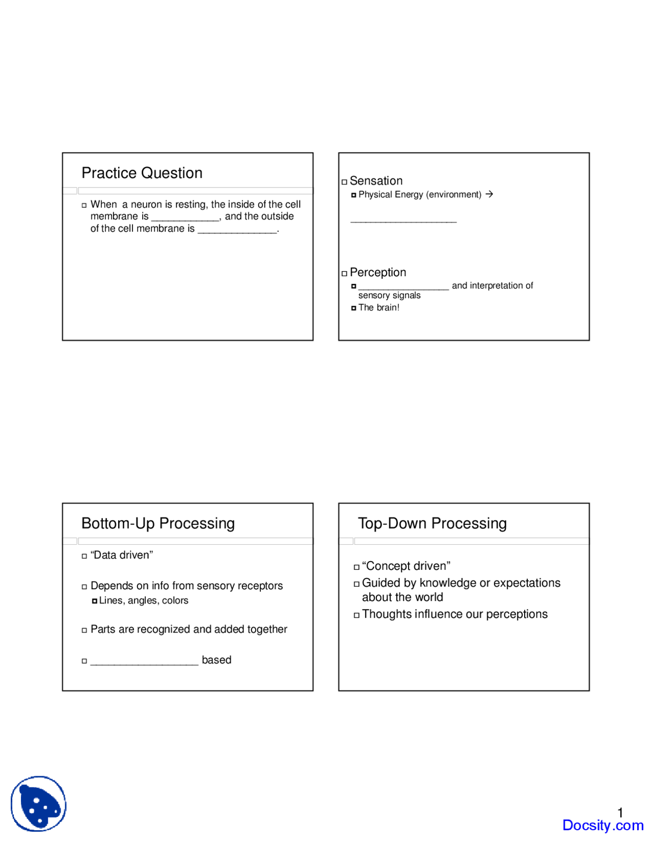 Sensation And Perception Basic Psychology Lecture Slides Docsity