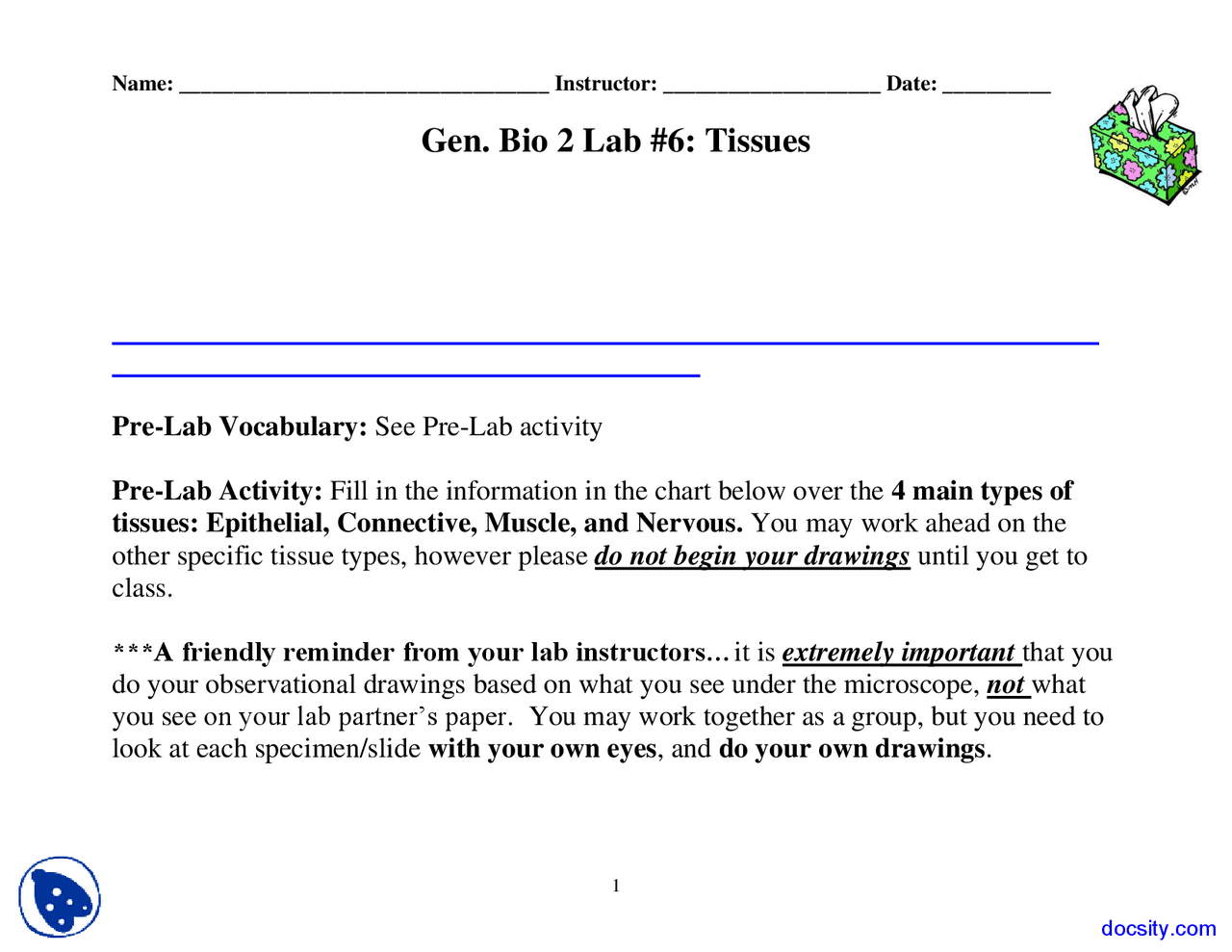 Tissues Biology Lab Manual Docsity