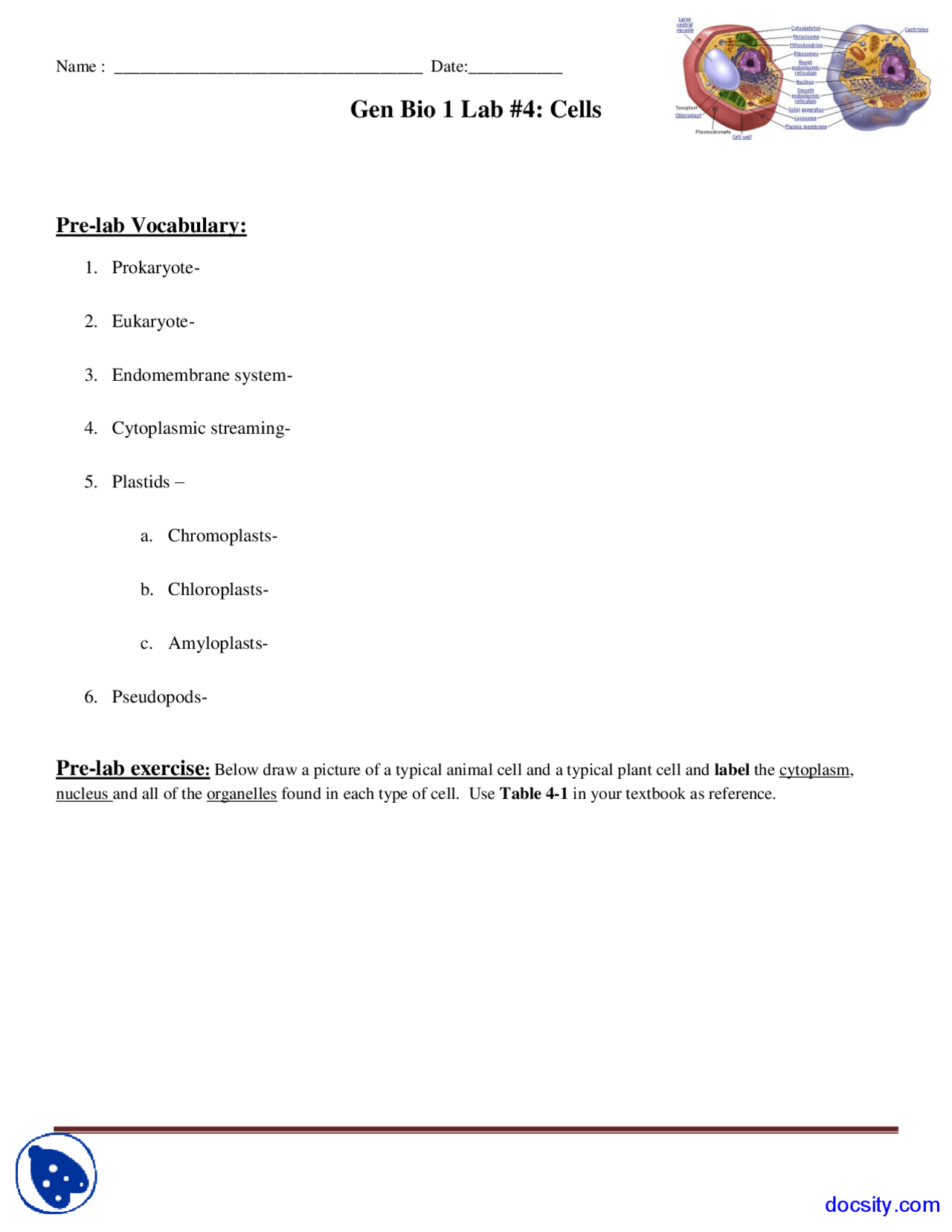 Cells - Biology - Lab Manual - Docsity